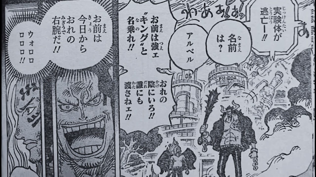 One piece chapter 1035 |Full japanese | zoro vs king - WACOCA ANIME