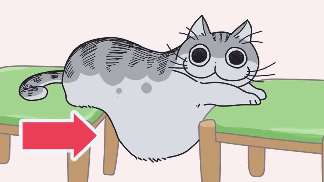 【夜は猫といっしょ】がんばれ腹筋★キュルガ Cute Cat Kyuruga Strong Abs Exercise Animation ...