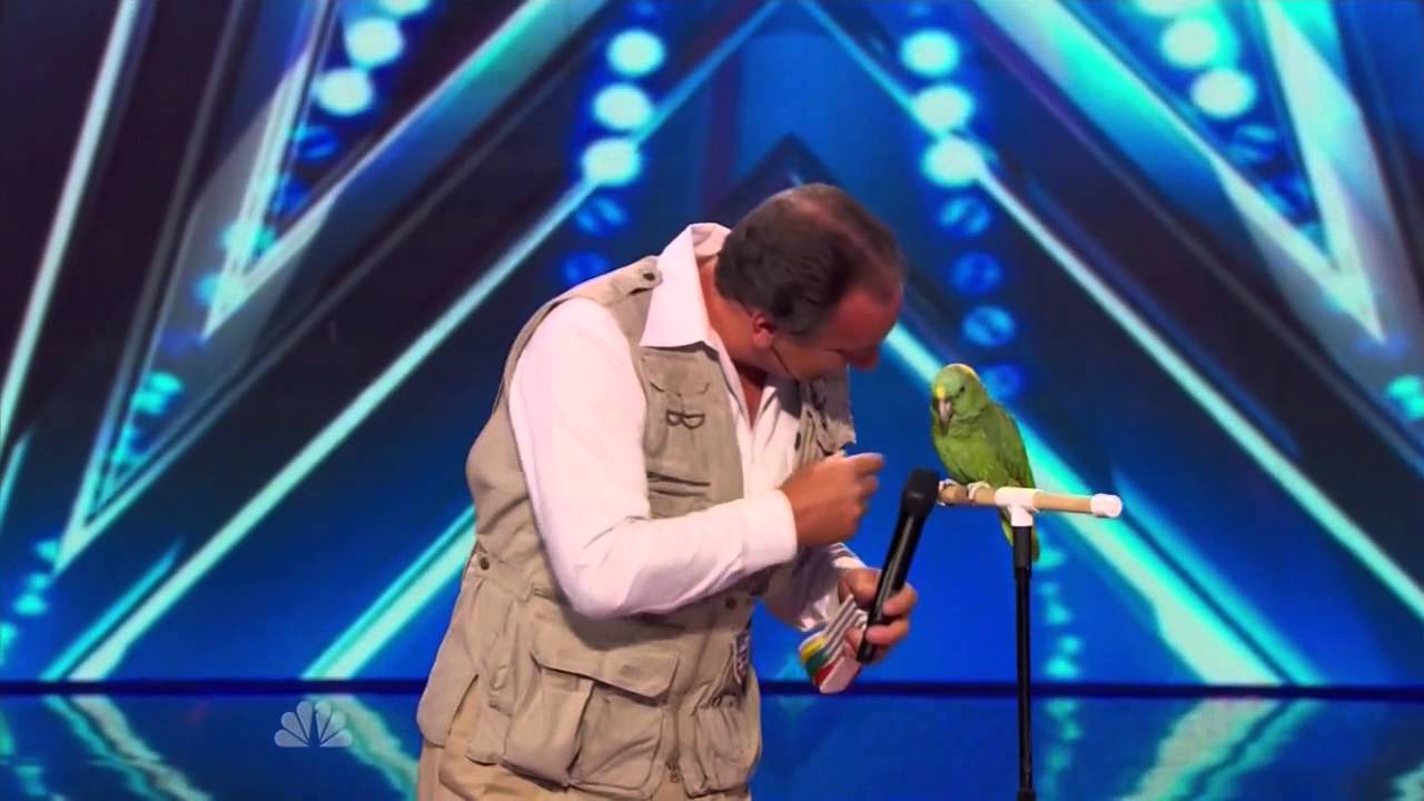 America's Got Talent S09E06 Joe the Birdman & Tika Talking Bird Act ...