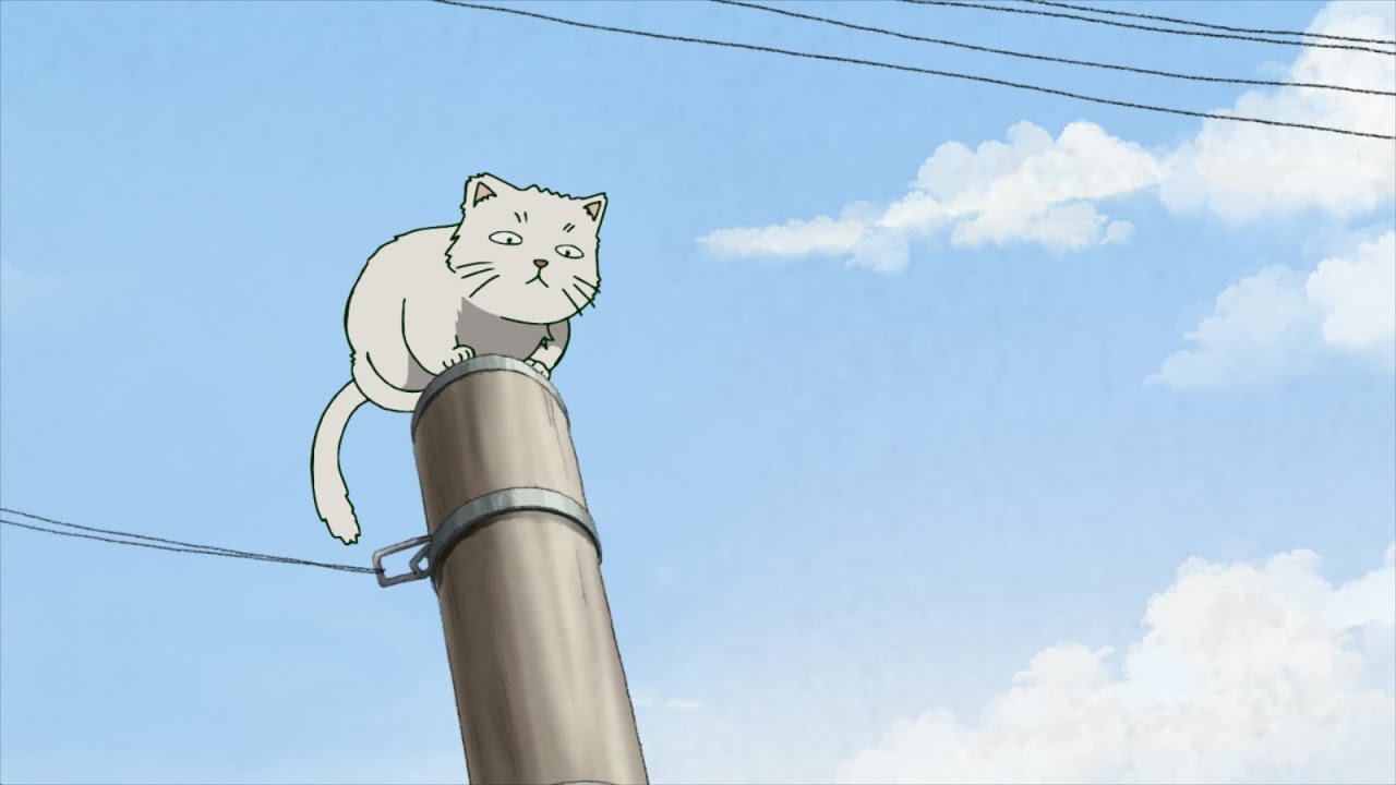 Mob saves cat | episode 12 | MOB PSYCHO 100 | モブサイコ100 III - Anime ...