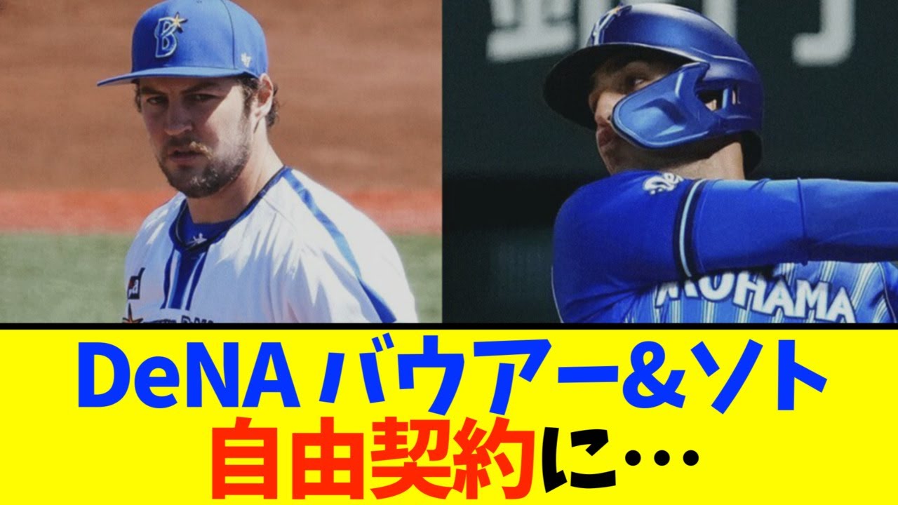 【横浜DeNA】バウアーとソトの自由契約を発表 - WACOCA BASEBALL