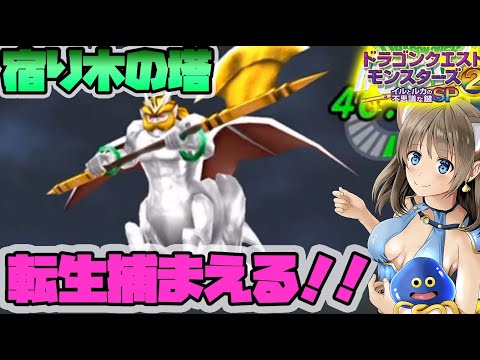 #9【イルルカSP】クリア後の世界、宿木の塔 ドラクエモンスターズ2初見プレイ！イルとルカの不思議な鍵SP【DQM2実況/アプリ版】 - Games | WACOCA JAPAN ...