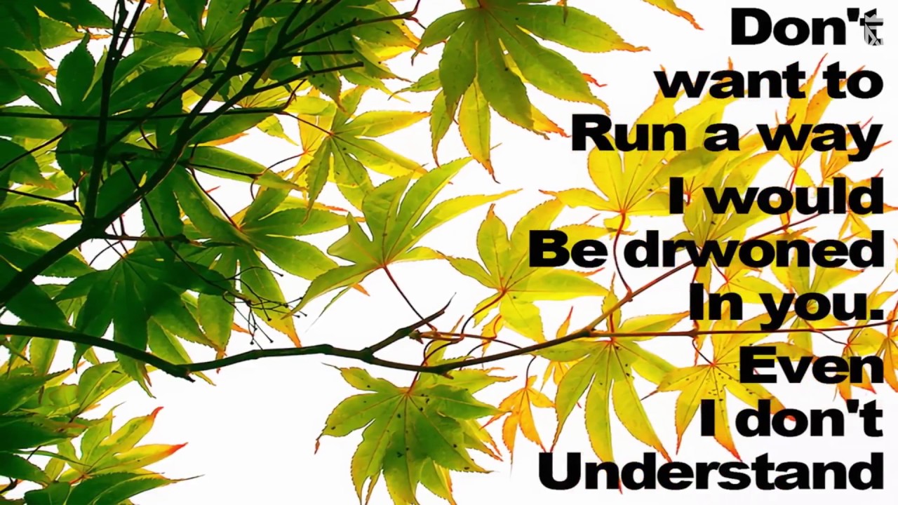 「DJMAX RESPECT」A Lie - Makou - Games | WACOCA JAPAN: People, Life, Style