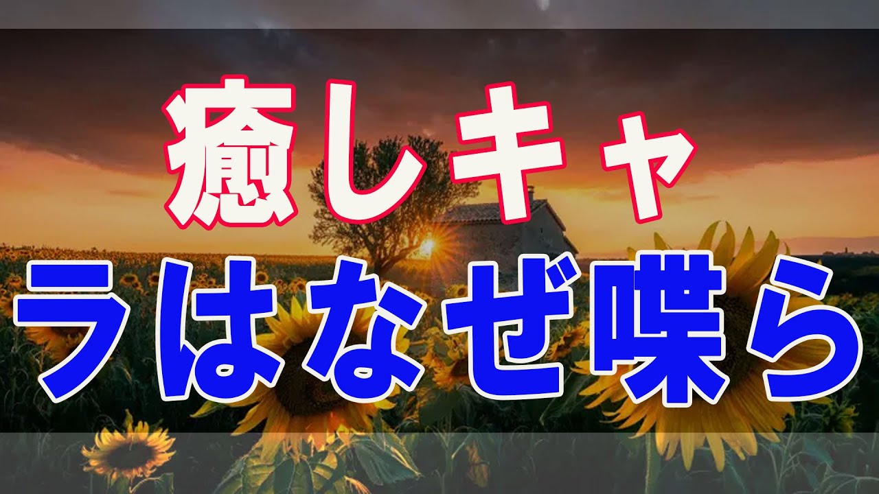 武田鉄矢今朝の三枚おろし 癒しキャラはなぜ喋らないのか知っていますか? 実はこんな理由なのかもしれない Wacoca News