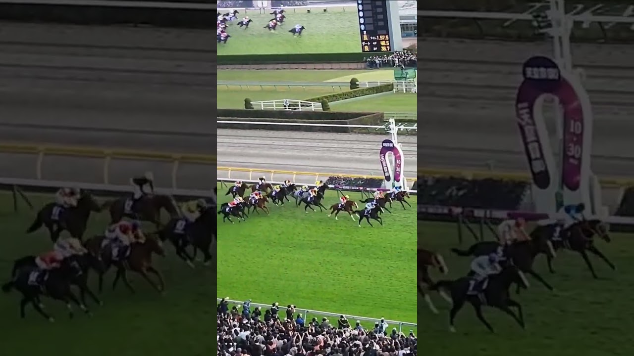 天皇賞秋 差せよJD vs 粘っておやじ - News | WACOCA JAPAN: People, Life, Style