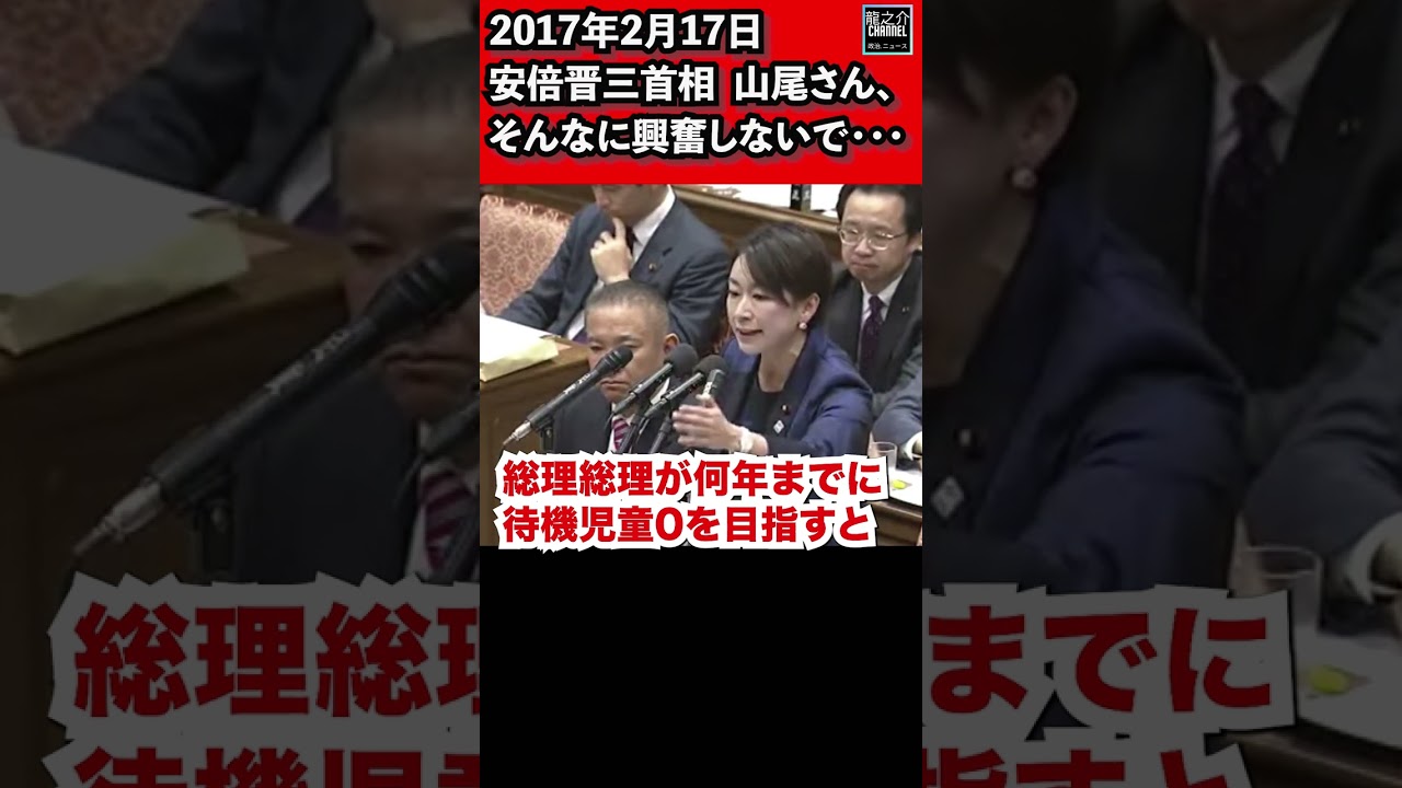 安倍晋三首相 そんなに興奮しないでください!山尾志桜里 民進党 衆議院 予算委員会 2017年2月17日 Shorts【龍之介