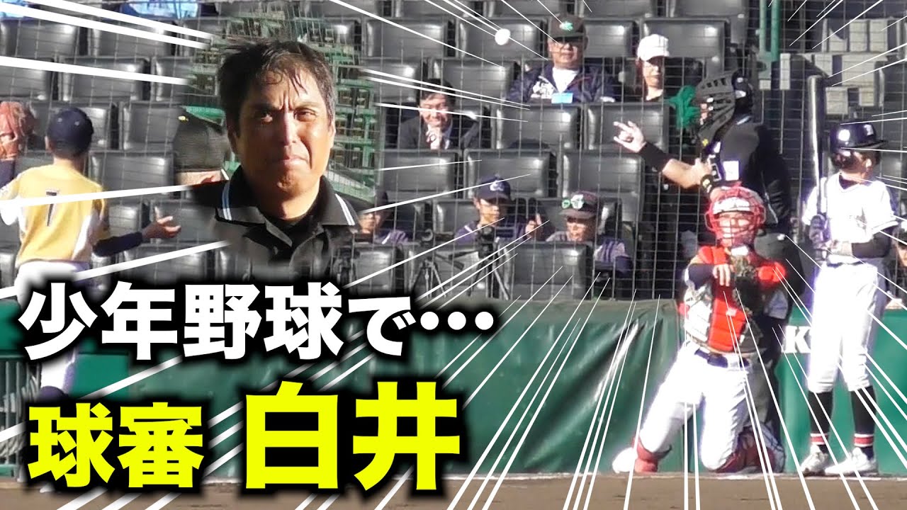 【球審の白井です】少年野球の全国大会決勝戦球審は白井一行。 Wacoca News