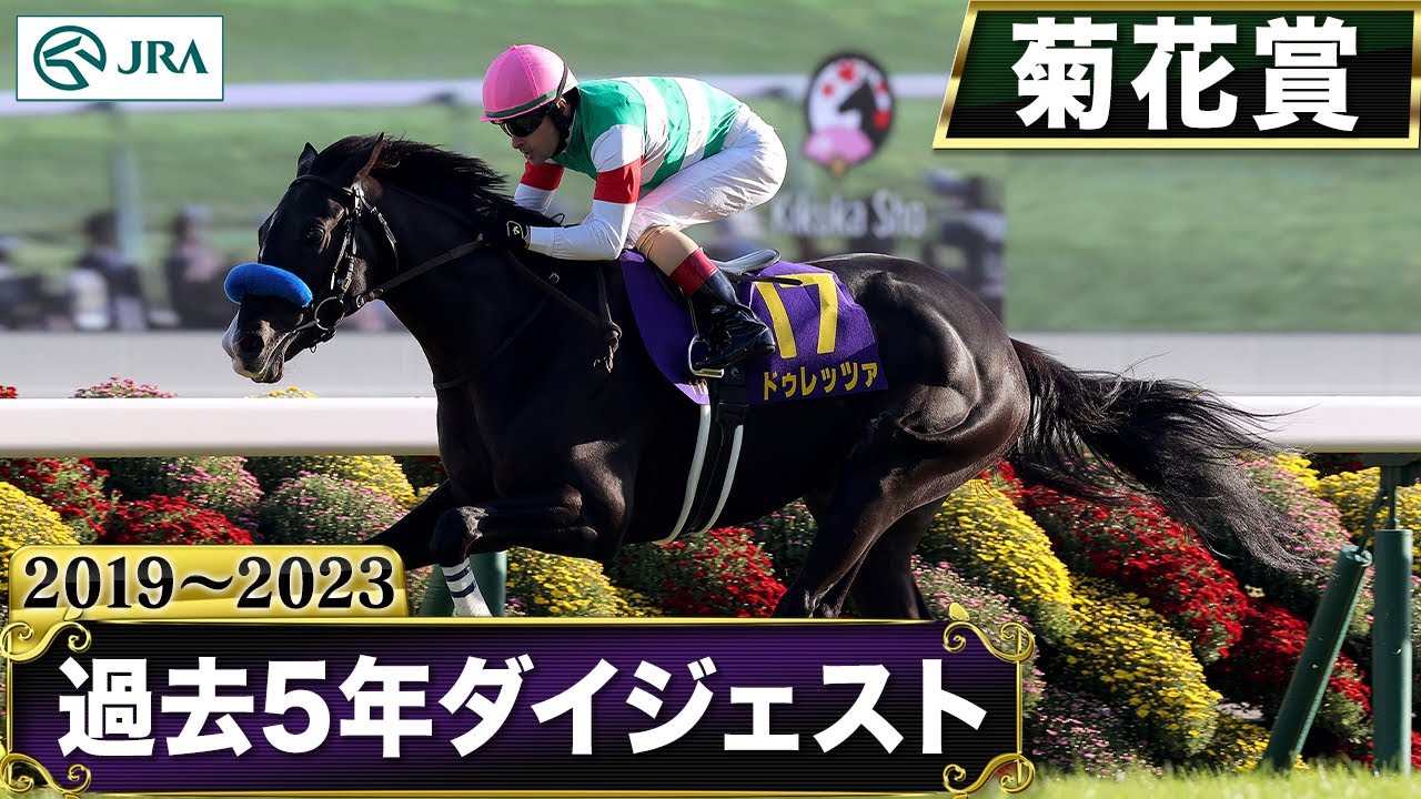 【過去5年】菊花賞 2019～2023｜JRA公式 - WACOCA NEWS
