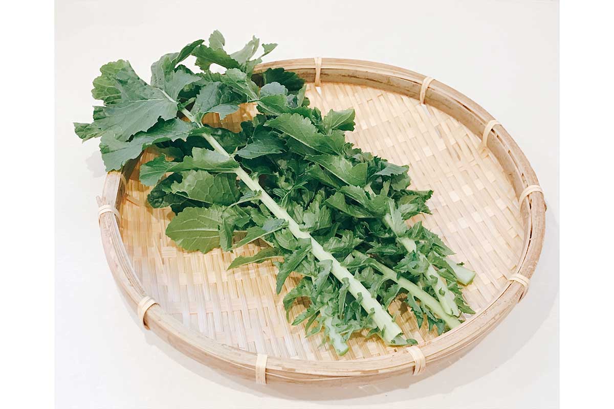 スーパーの値札に仰天「戦争とか始まった？」 ネットも騒然「廃棄するやつ」「高すぎるやろ」 - ENCOUNT（エンカウント） - WACOCA NEWS