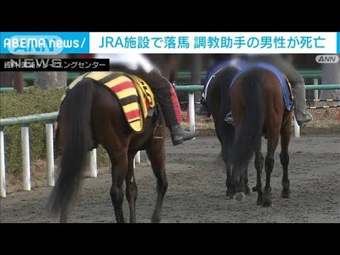 JRAの美浦トレーニング施設で調教助手の男性落馬、死亡(2025年3月9日) - WACOCA NEWS
