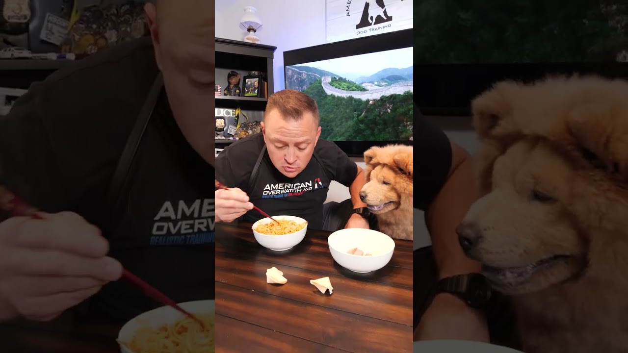 Having some chow with the Chow Chow - Pets | WACOCA JAPAN: People, Life ...