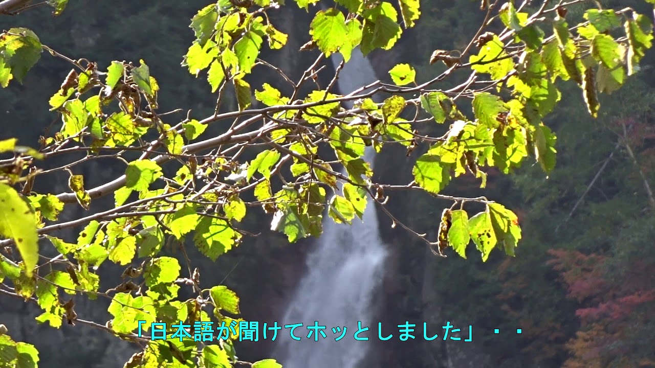 2019道東車中泊一人旅その4 - WACOCA TOURS