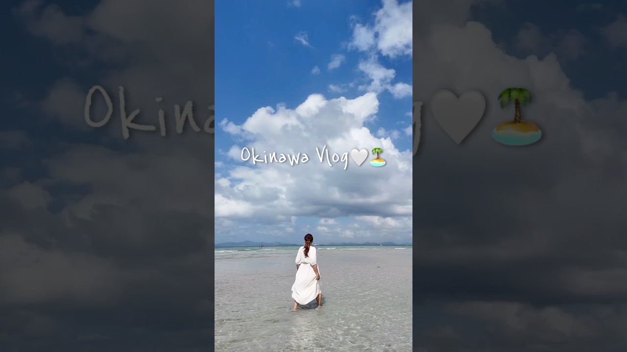 okinawa vlog 海中道路編🦦🤍#沖縄#沖縄旅行 #沖縄県#海中道路#okinawa#okinawavlog #okiriptrip - WACOCA TOURS