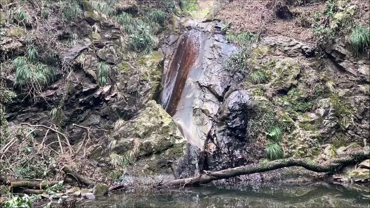 abinanotaki20250216 - WACOCA TOURS