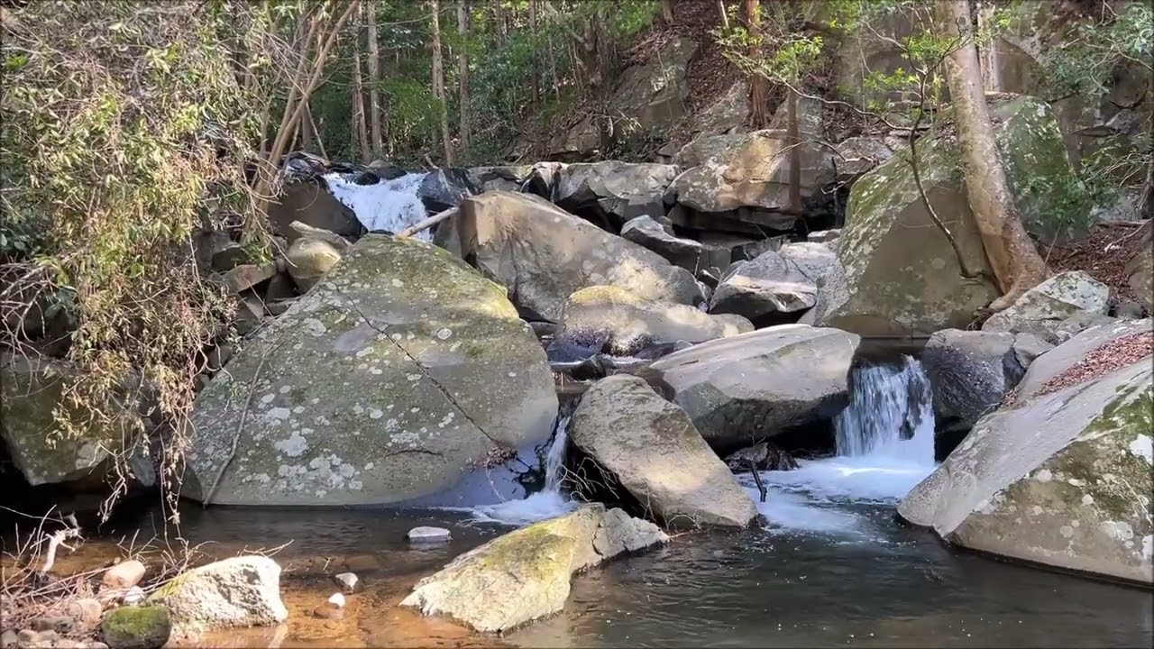 kobotumehorinotaki20250226 - WACOCA TOURS