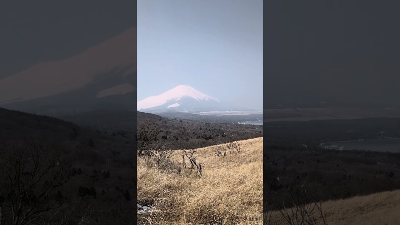 山中湖パノラマ台でフランス人登場5秒前 #山中湖 #富士山 #パノラマ台 - WACOCA TOURS