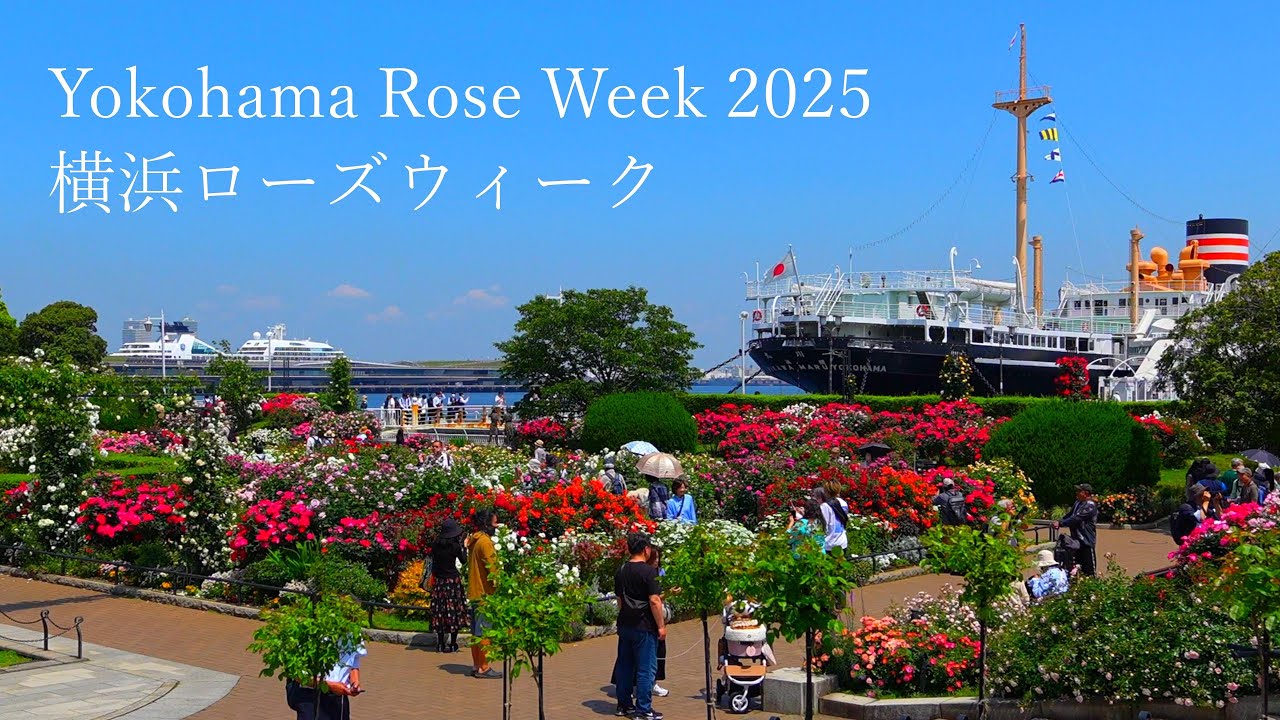 【Yokohama Rose Week 2025】Yamashita Park, Harbor View Park, and other ...