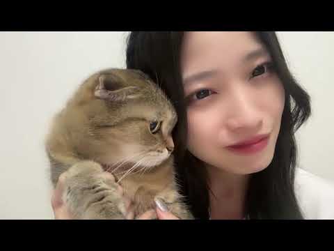 2024年08月04日23時32分56秒 入内嶋 涼（SKE48 チームKⅡ） SAYAKA IRIUCHIJIMA - Videos | WACOCA JAPAN: People, Life ...