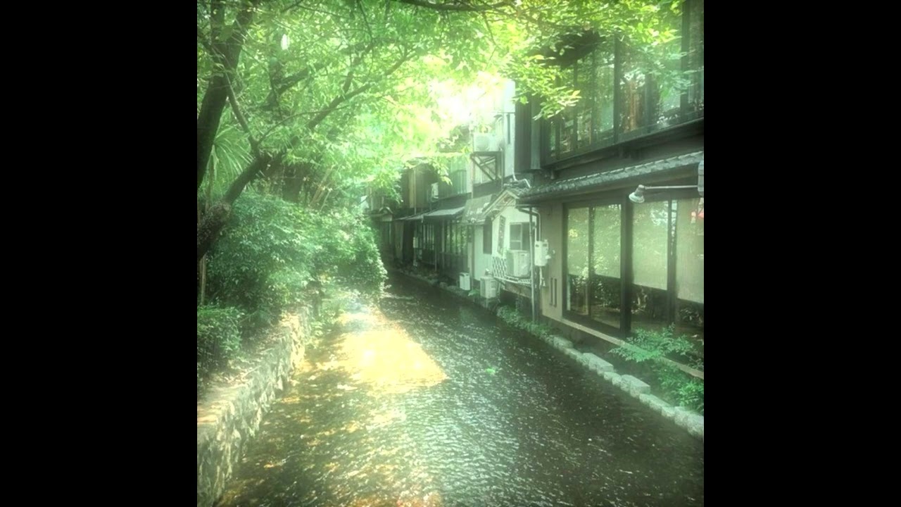 Yoshiro Miura - Spectral Forest - WACOCA VIDEOS