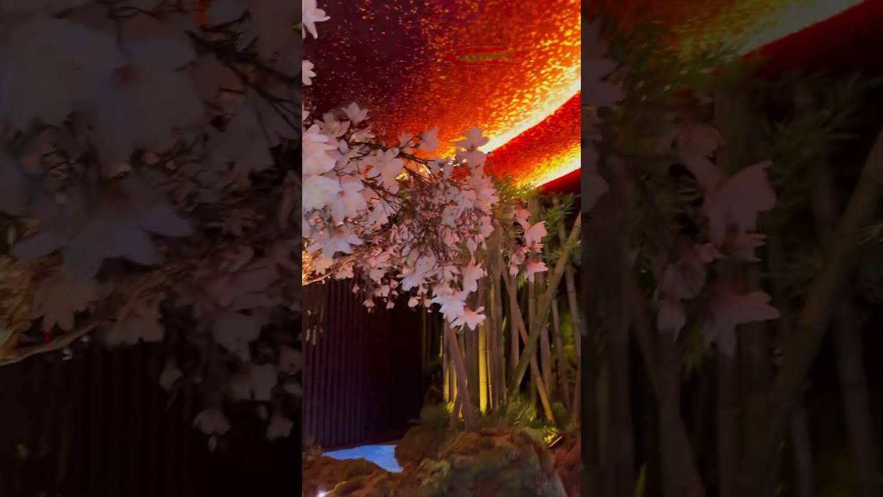 The Forest Within, by Gwyneth Paltrow Genesis House # ...