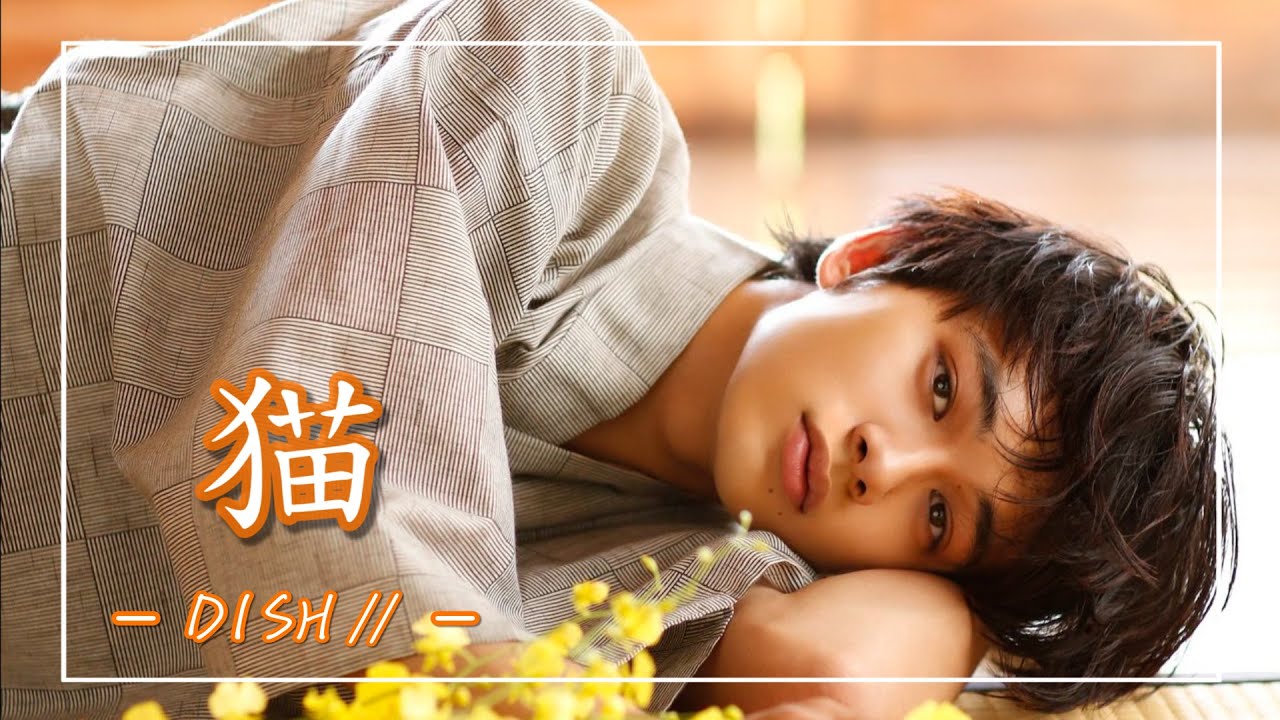 【中日羅歌詞】『猫』/ DISH// （北村匠海）｜『neko』/ DISH//（Kitamura Takumi） - WACOCA